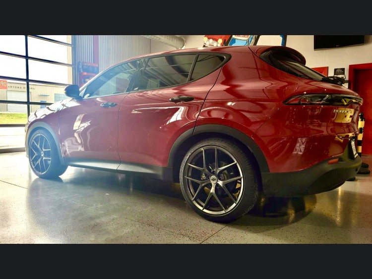 Dodge Hornet Sport Plus Lowering Springs by MADNESS